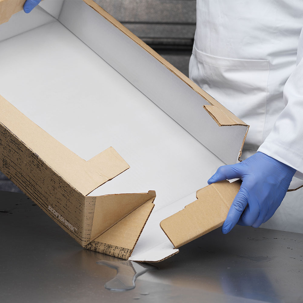 Bröderna Hanssons | Replacing polystyrene fish boxes with a more ...