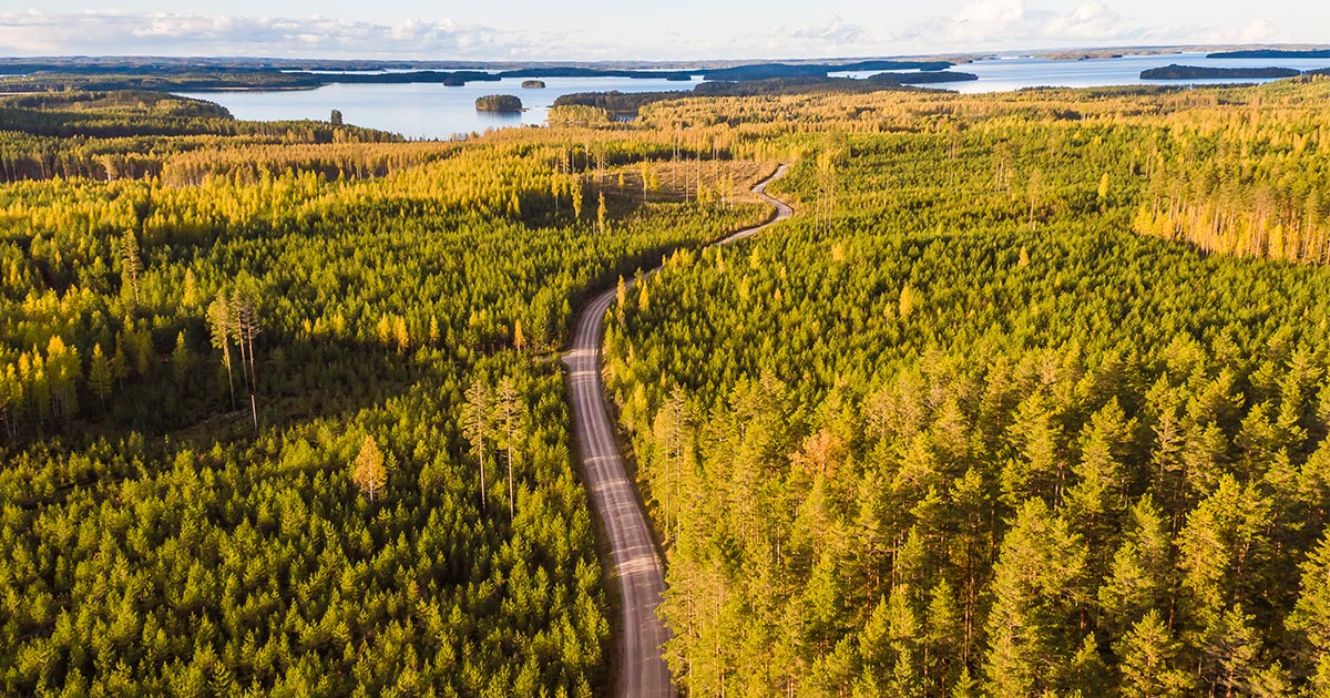 Sustainability - Packaging Stories | Stora Enso